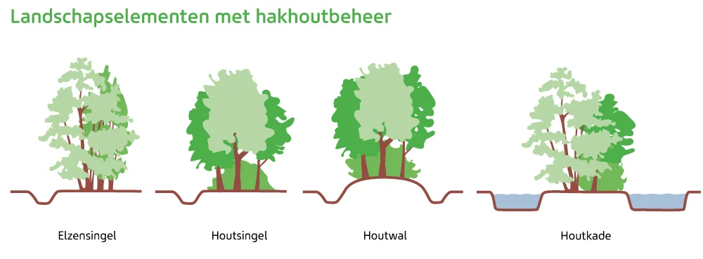 20 Hakhoutbeheer - BoerenNatuurWijzer